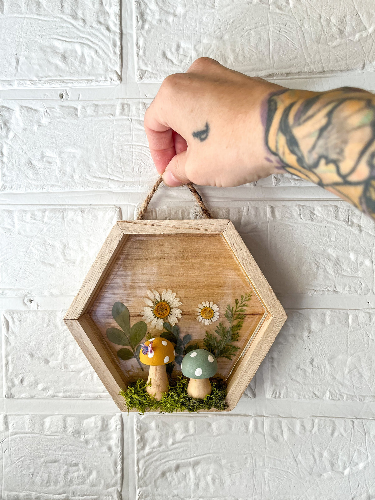 Pixie shadow box — San José Made