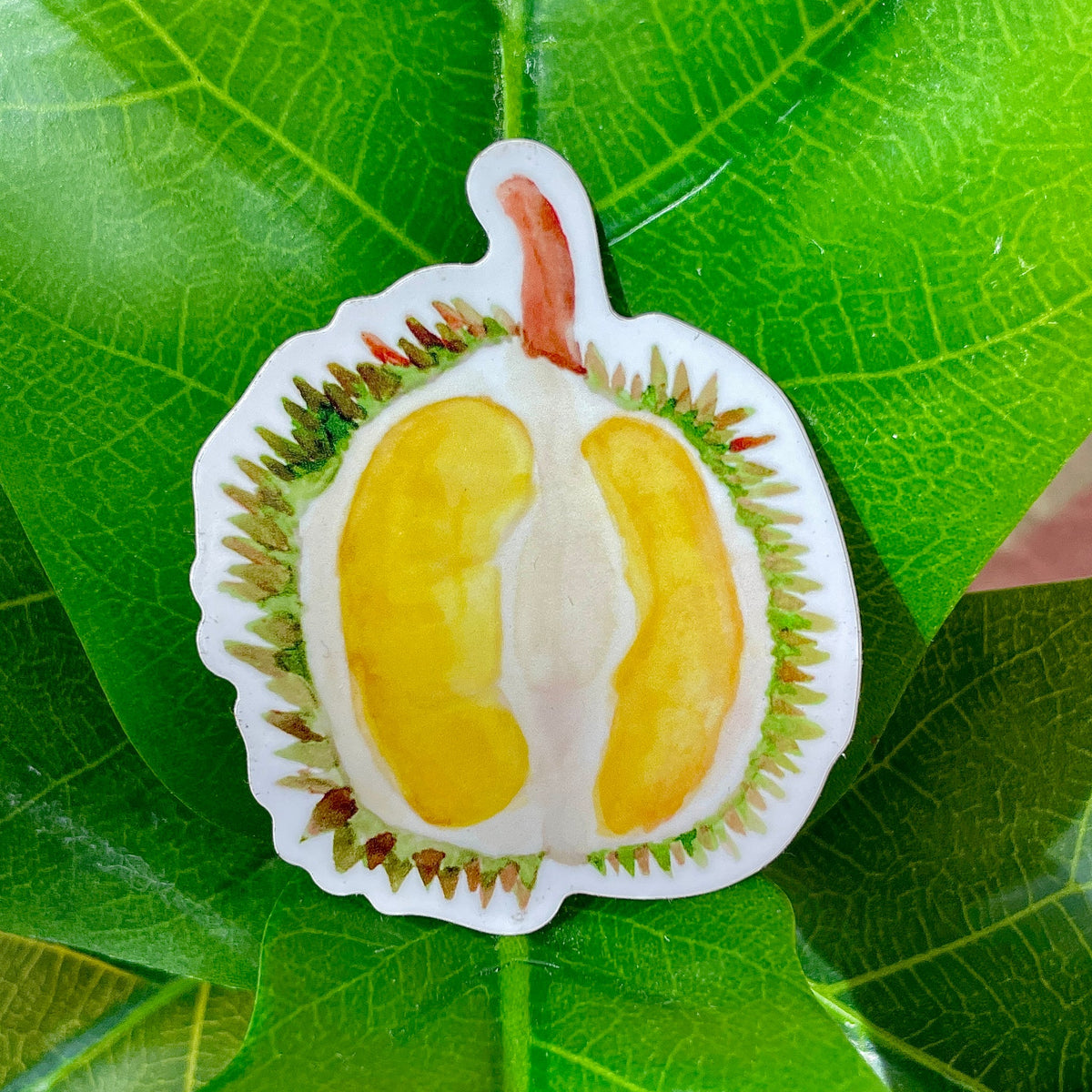 Durian Sticker — San José Made