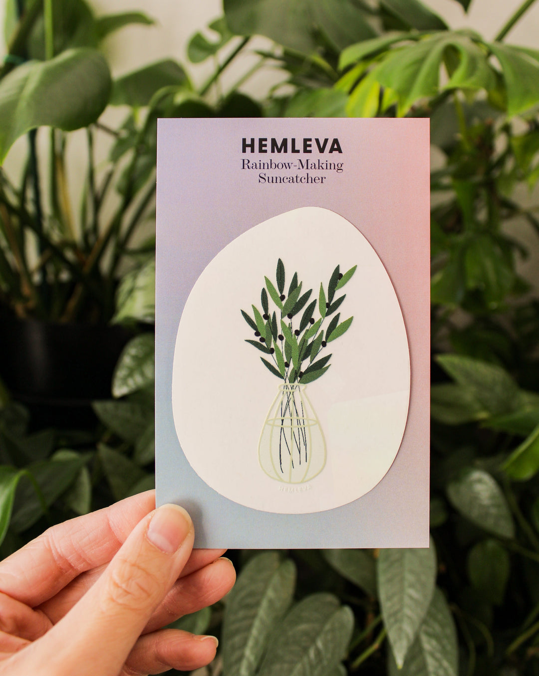 Olive Branch Suncatcher • Card Insert — San José Made