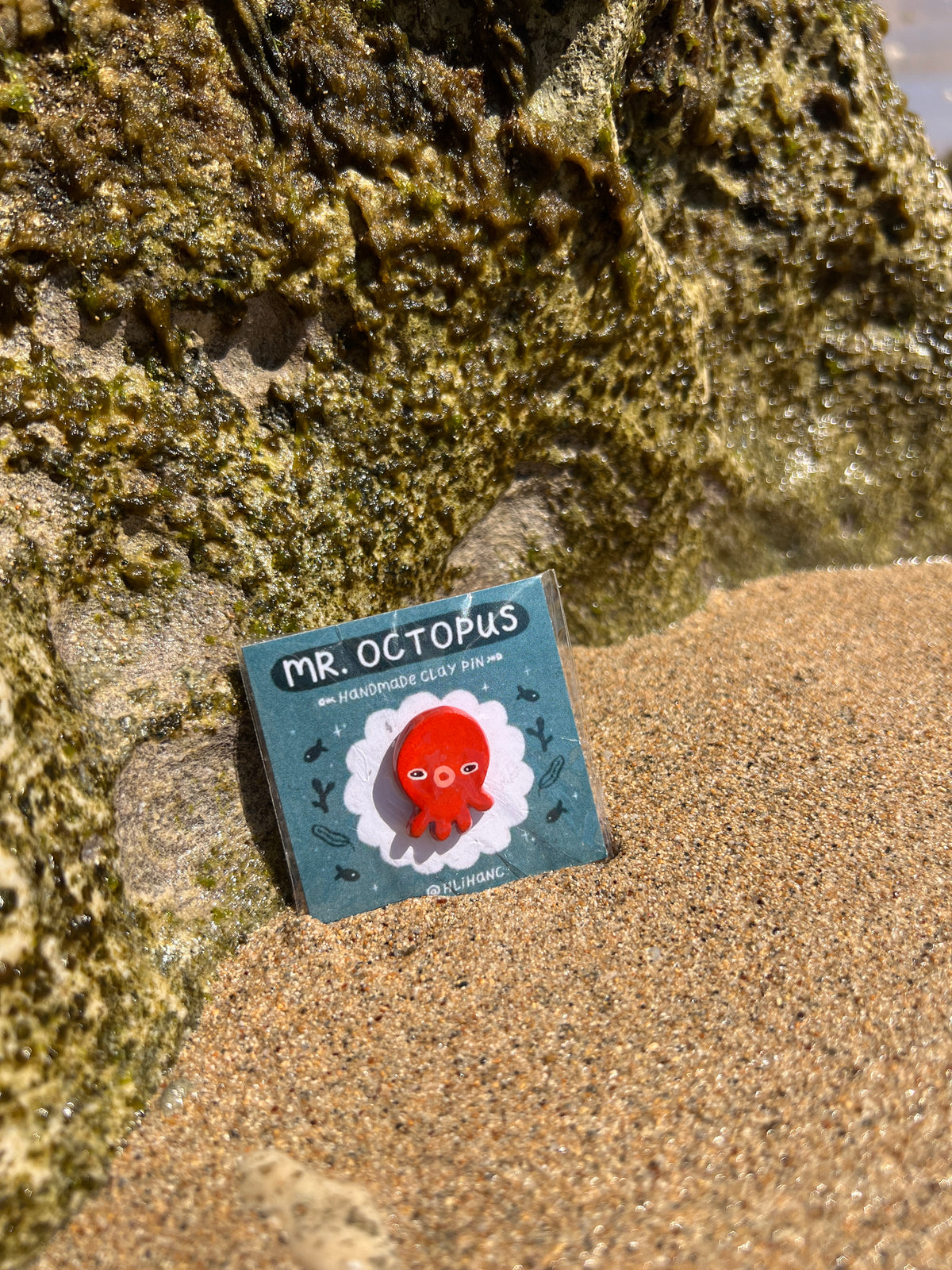 Mr. Octopus Clay Pin — San José Made
