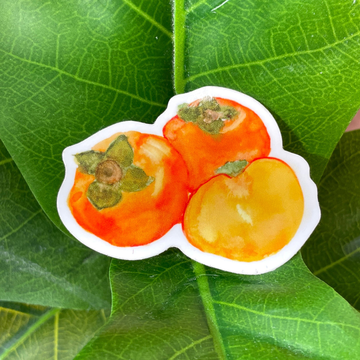 Persimmon Sticker — San José Made