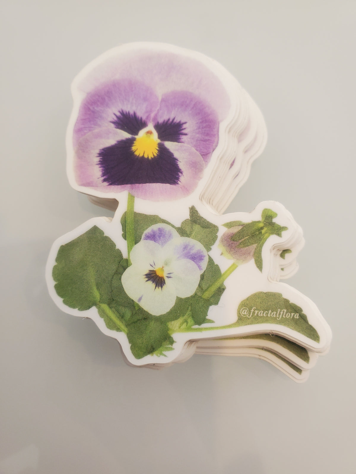 Pansy Sticker — San José Made