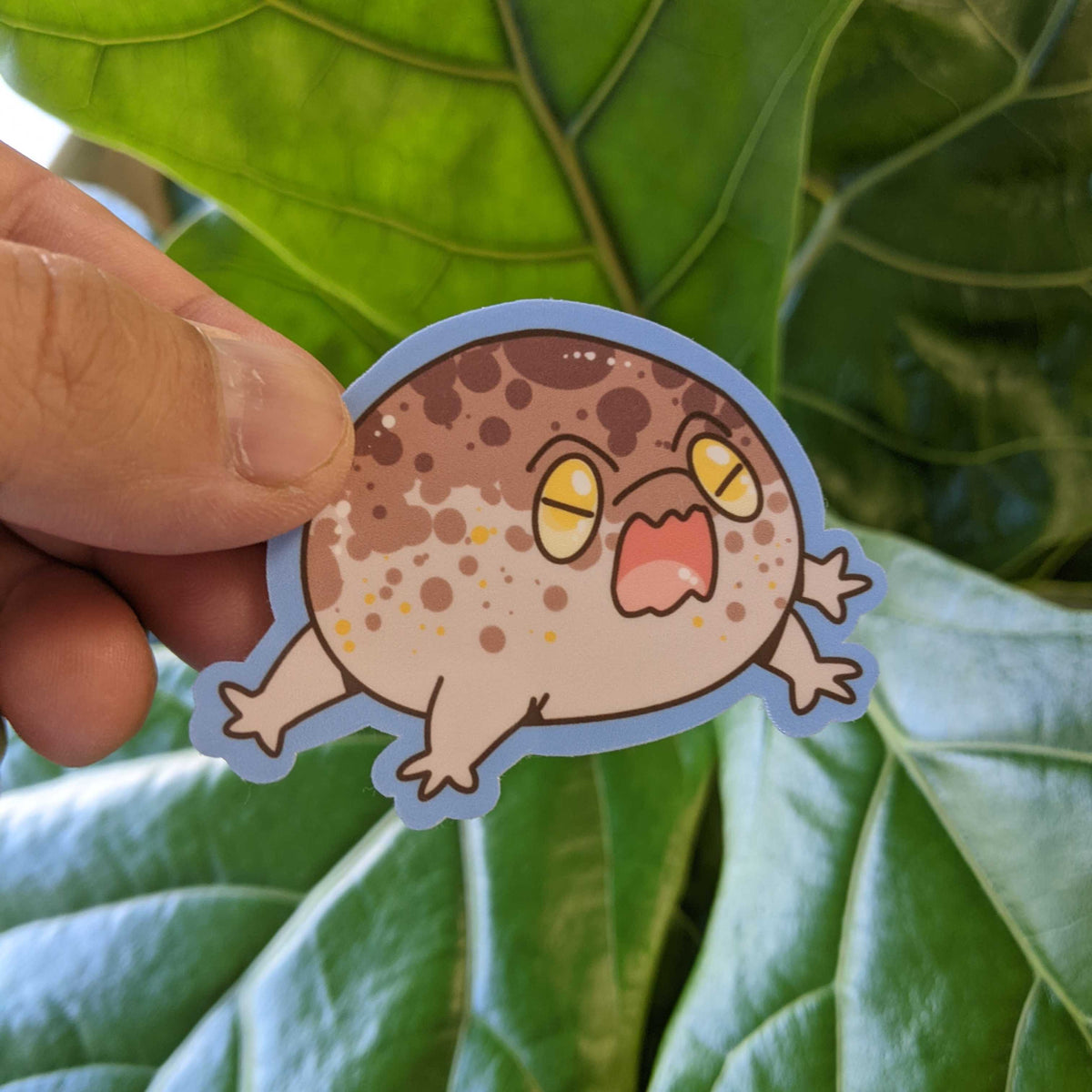 Desert Rain Frog Sticker — San José Made