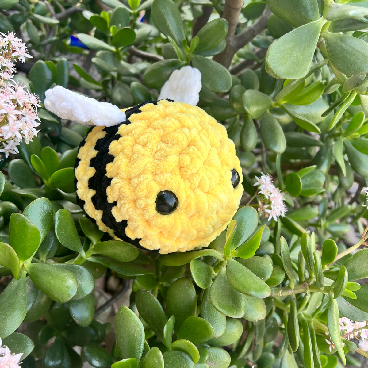 Squishy Bee — San José Made